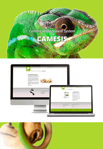 Webdesign Berlin DESIGNPARK | Berliner Agentur für Webdesign